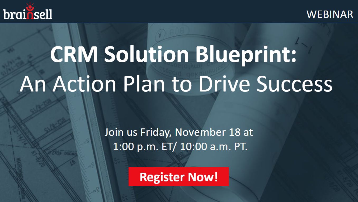 CRM Solution Blueprint - Brainsell CRM Solution Blueprint - Brainsell